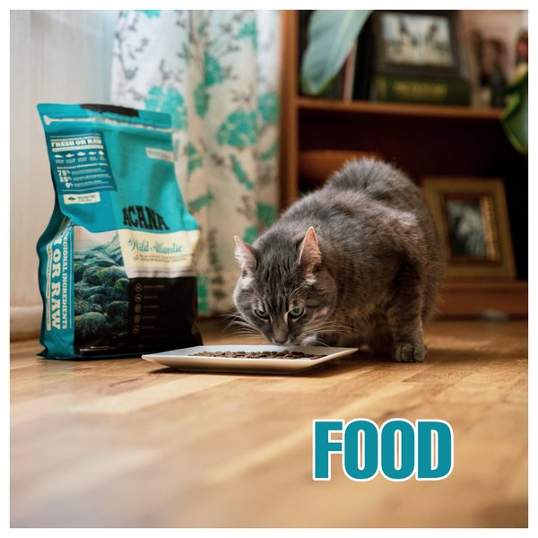 Home - Ruff Haus Pets