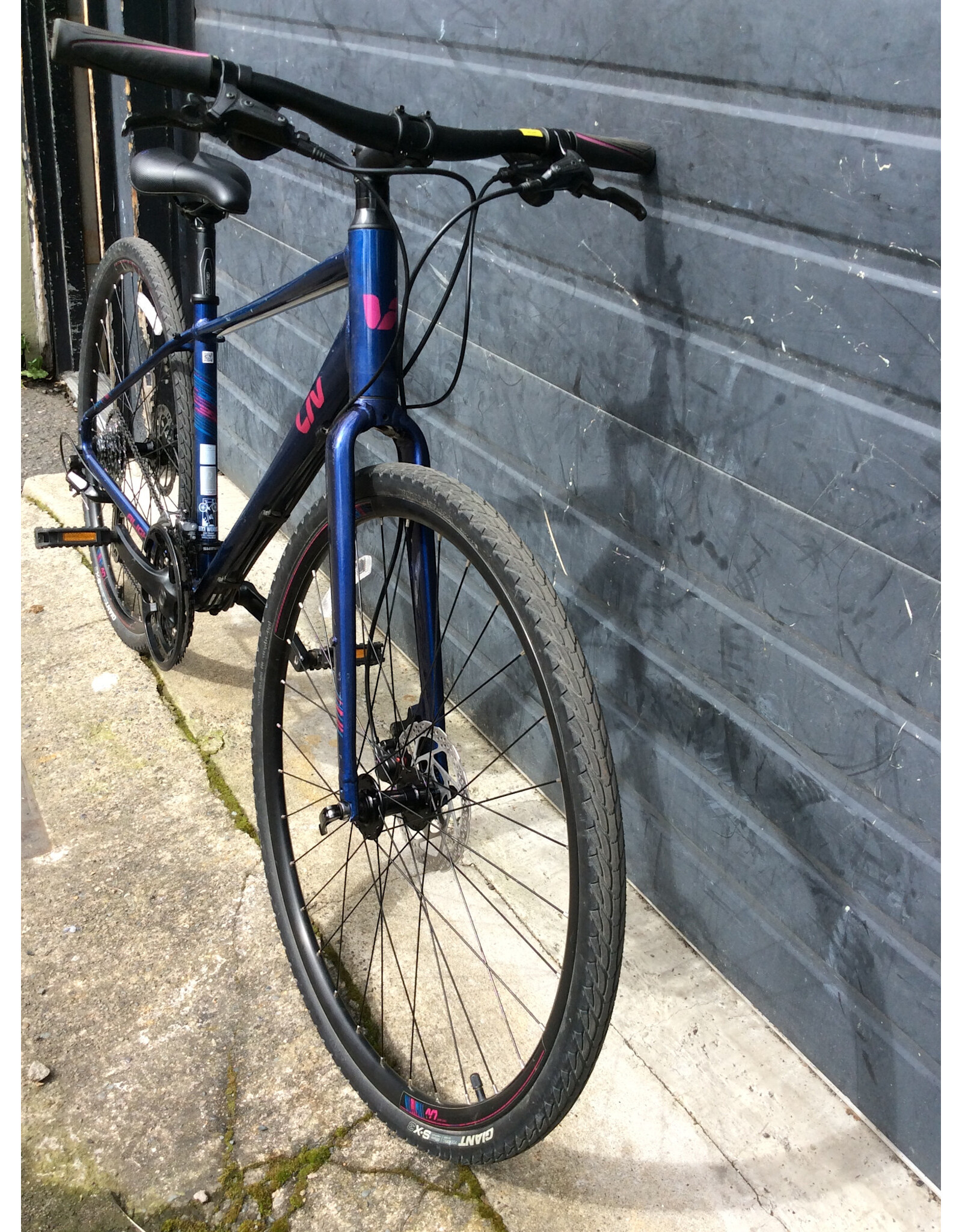 17" Liv Alight - Bike Works Seattle