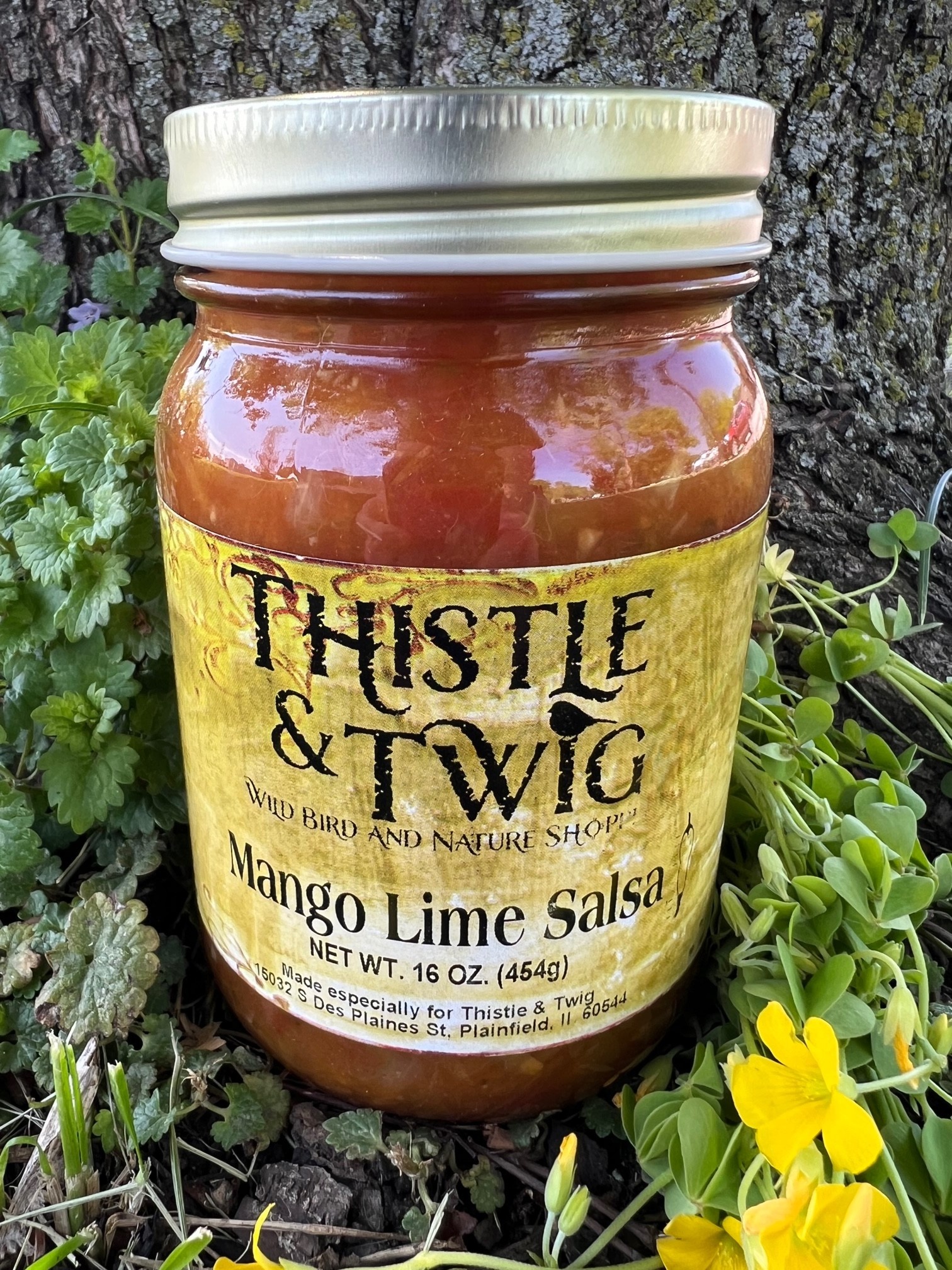 Salsa: Mango Lime 16 oz - The Wandering Dragon Game Shoppe | Thistle & Twig Wild Bird and Nature ...
