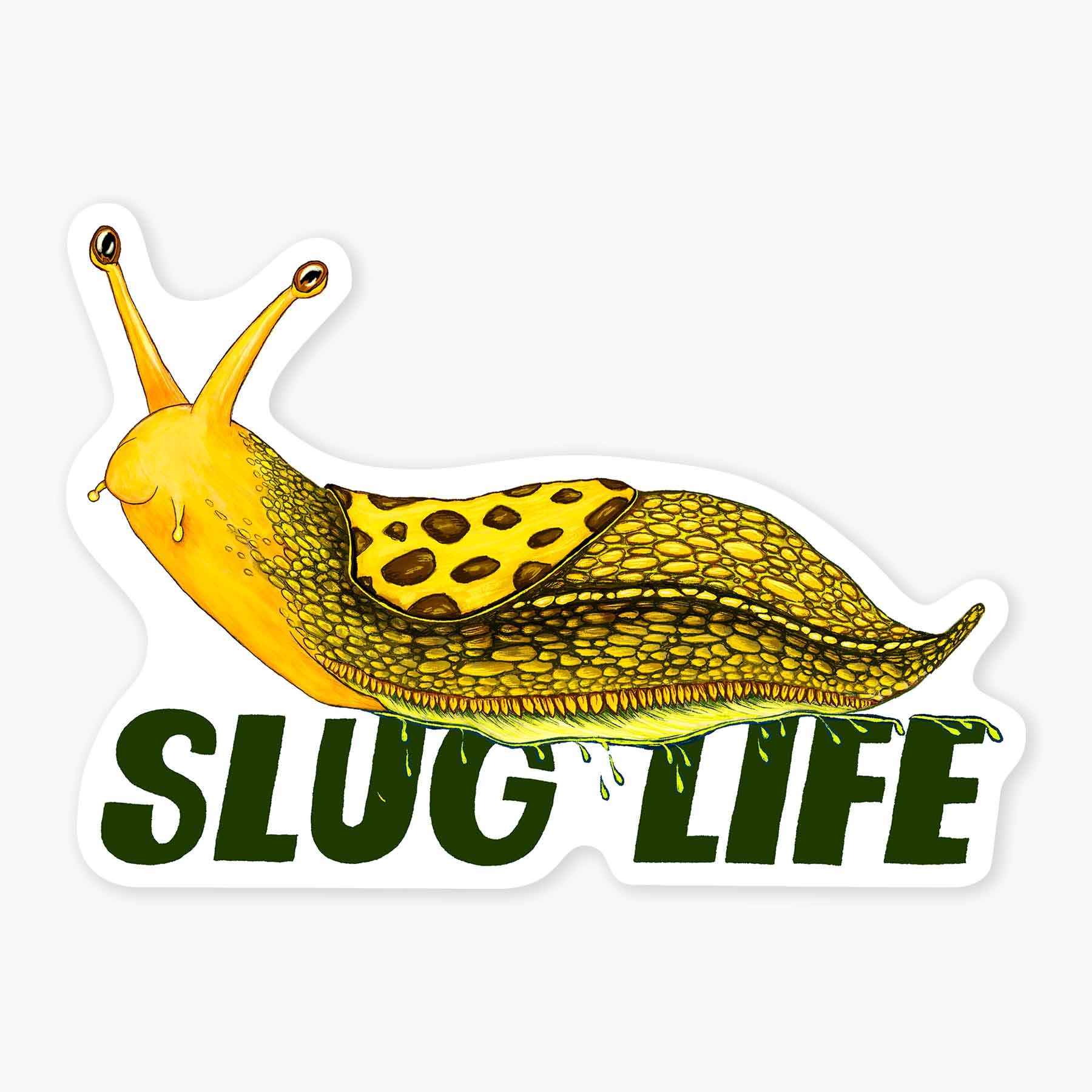 Nice Enough Stickers Sticker: Slug Life - 3" - The Wandering Dragon ...