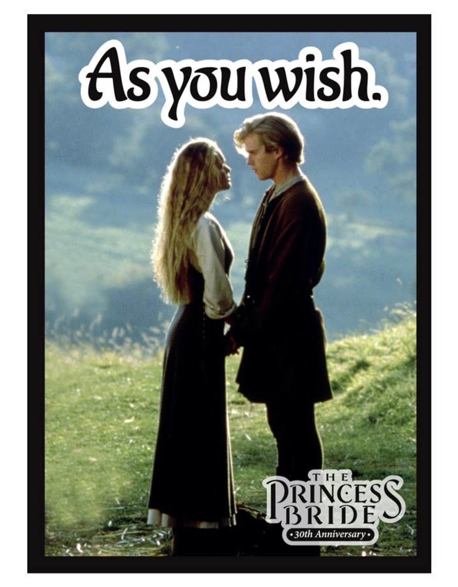 Westley Princess Bride As You Wish