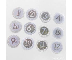 Milestone stickers - Begbie Kids