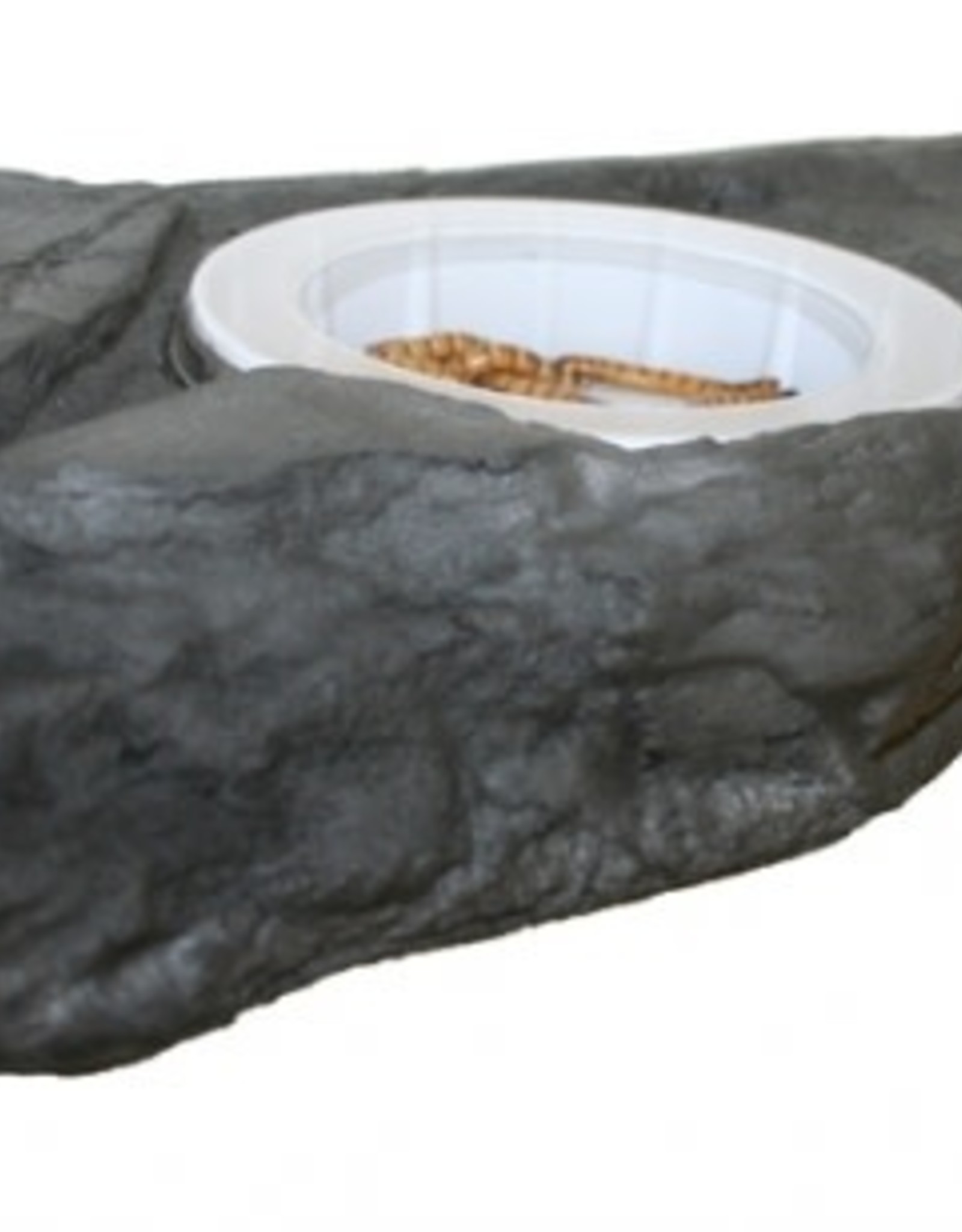 Removable Cup For Mealworms MagNaturals Large Worm Feeder Ledge ...