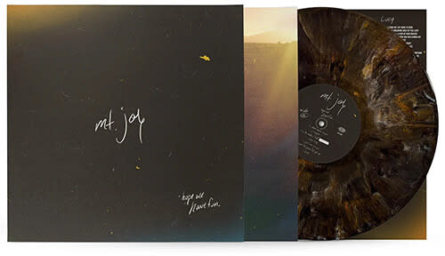 MT. JOY / Hope We Have Fun (Colored Vinyl, Brown) - Mill City Sound
