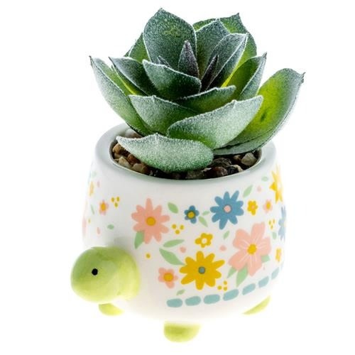 Shaped Succulent Pot - Turtle - BOB Headquarters