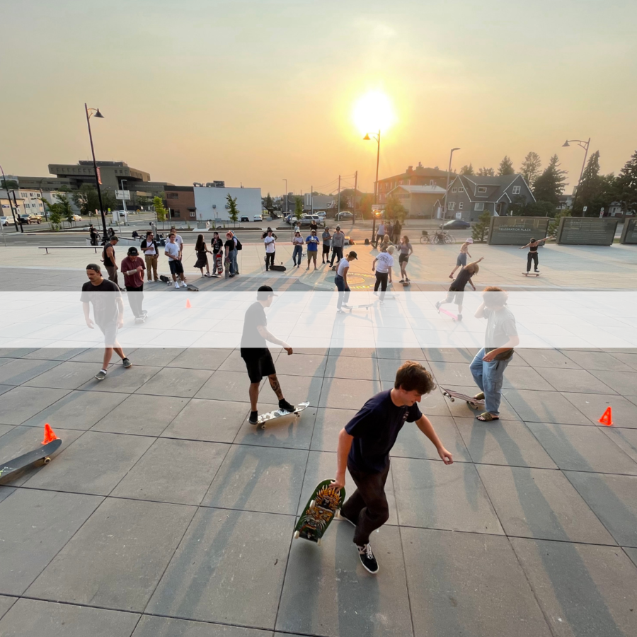 SKATE - Industry Skate & Snow