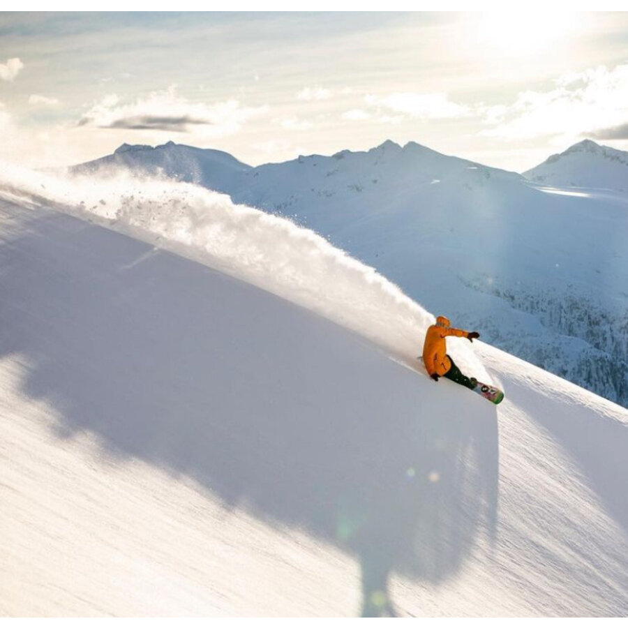 SNOWBOARDS - Industry Skate & Snow