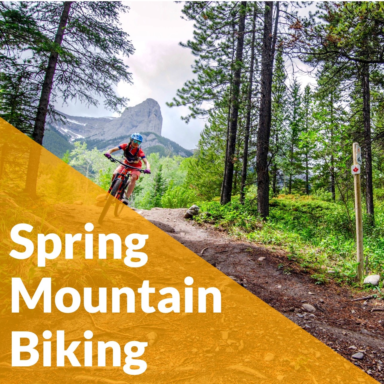 Mountain Bike Lessons and Rides - Trail Sports Inc.
