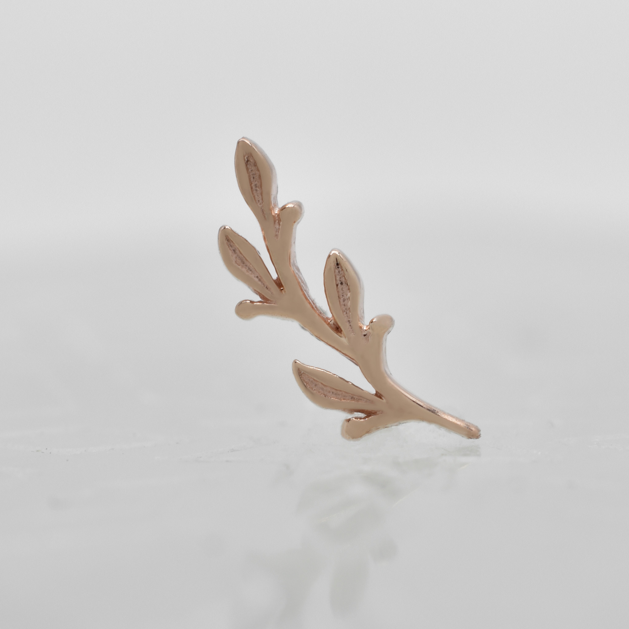 BVLA RG Threaded Amity Small (10x3.5mm) Curved to Right - Enigma ...