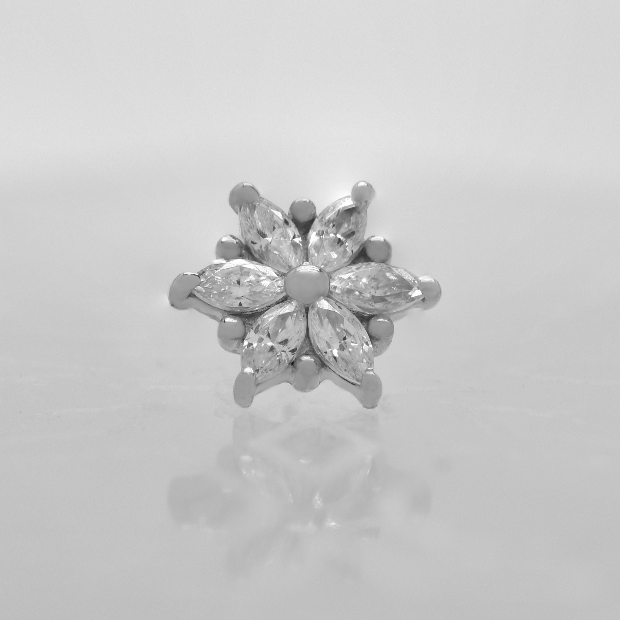 d - Enigma Professional Piercing Adams