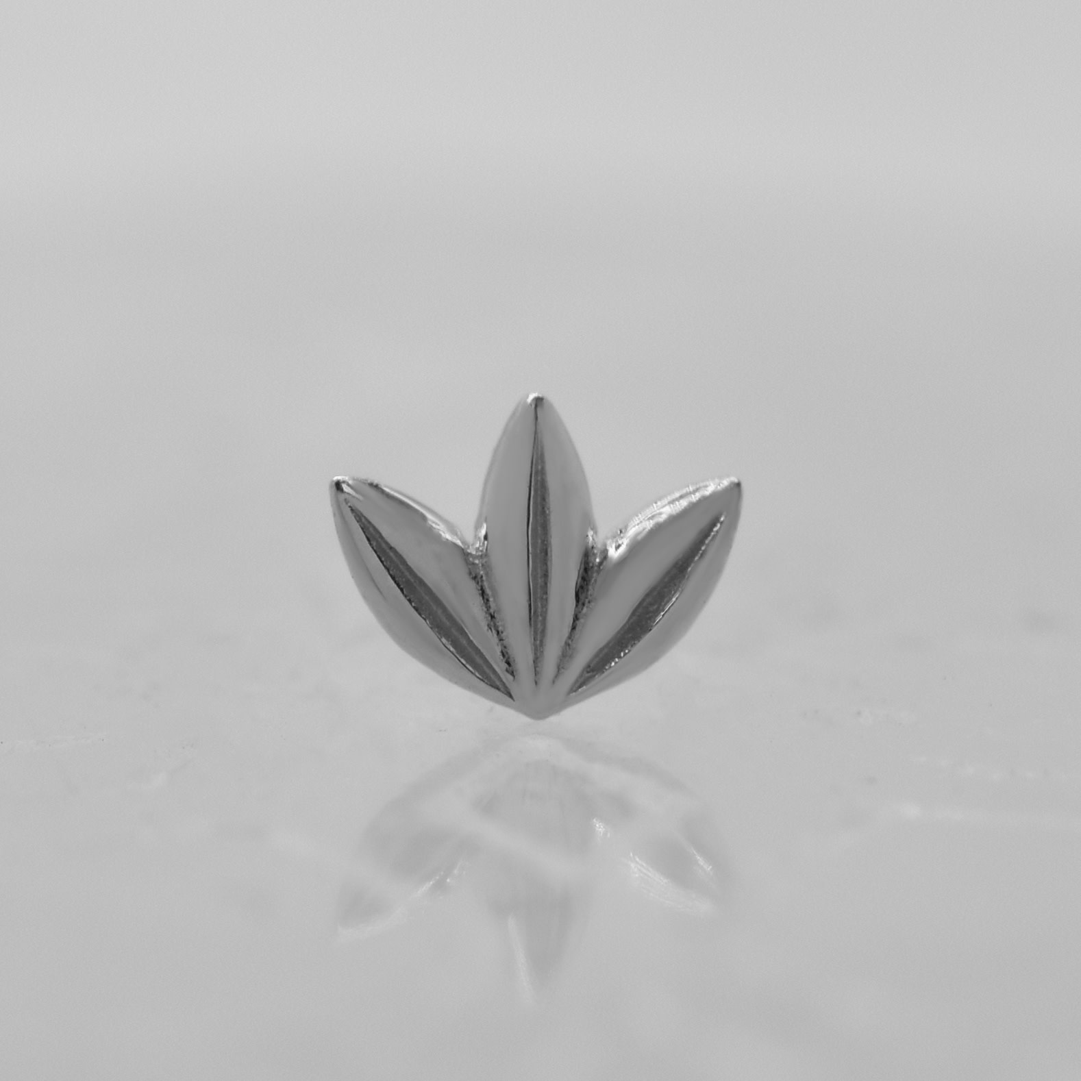 Anatometal threadless Ferndale WG - Enigma Professional Piercing Adams