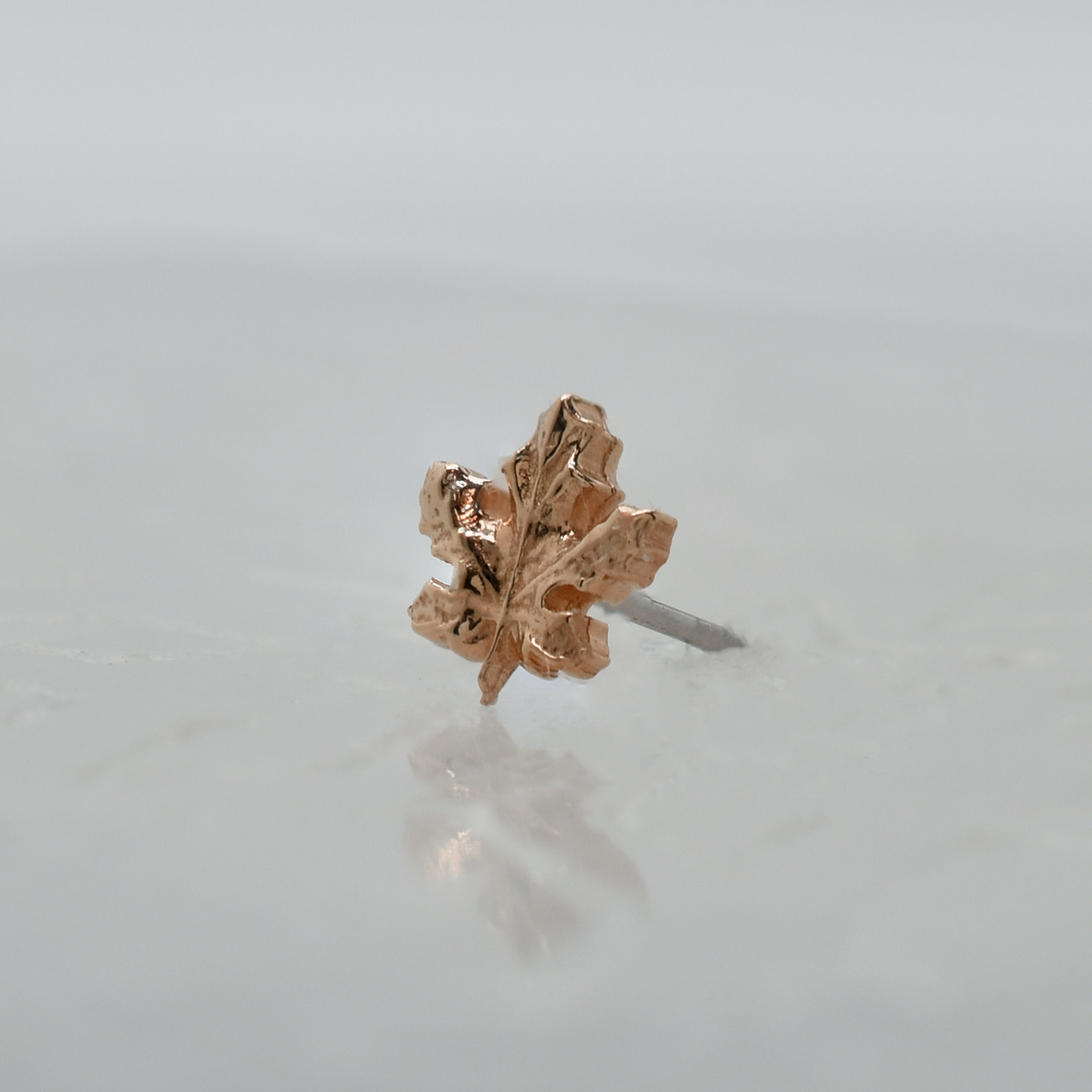 Anatometal threadless 6mm Maple Leaf RG - Enigma Professional Piercing ...