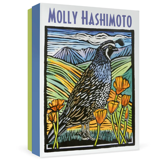 MOLLY HASHIMOTO BOXED NOTES - boréal