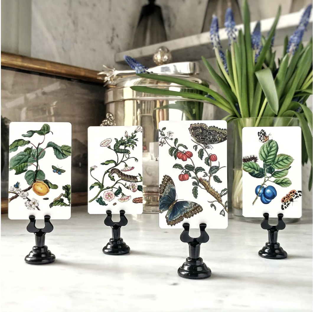 Mr. P's Signs of Spring Place Cards (16) - Upright - Honeychurch