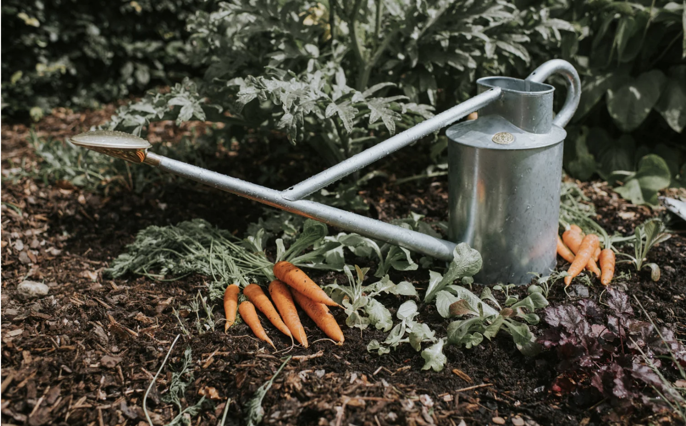 The Warley Fall - One Gallon - Honeychurch