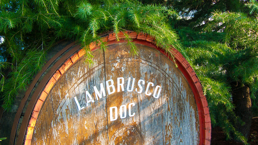 Lambrusco Food and Wine Pairings - DCANTER