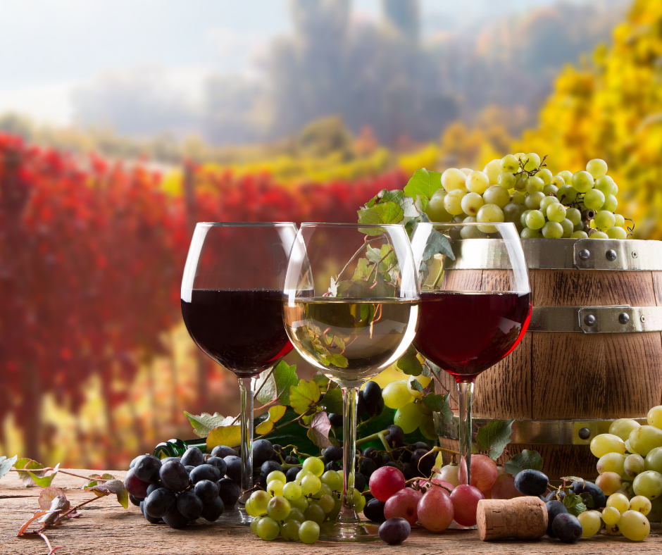 An Introduction to Wine: A 3-Part Series - DCANTER