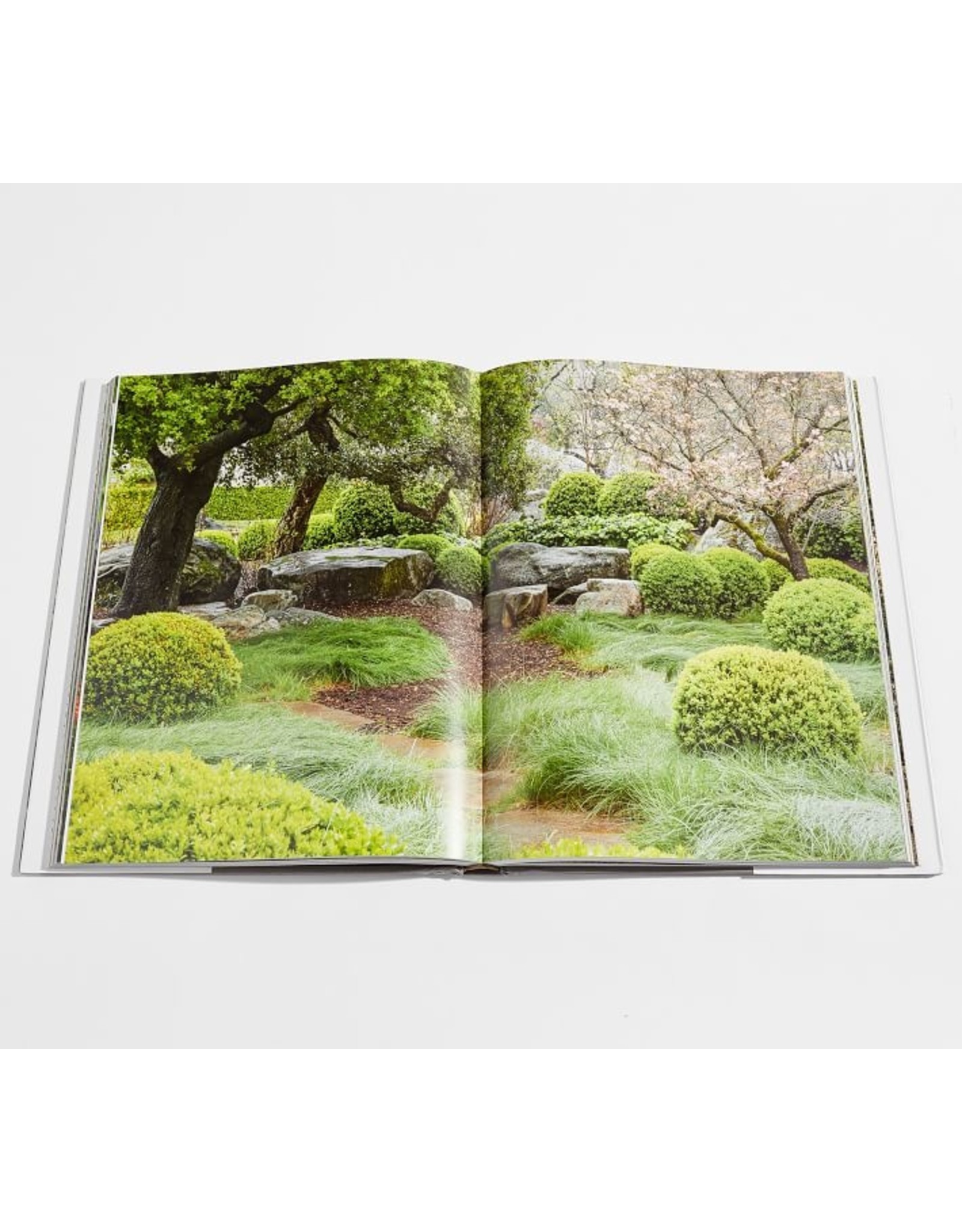 Art of Outdoor Living - The Collector's House