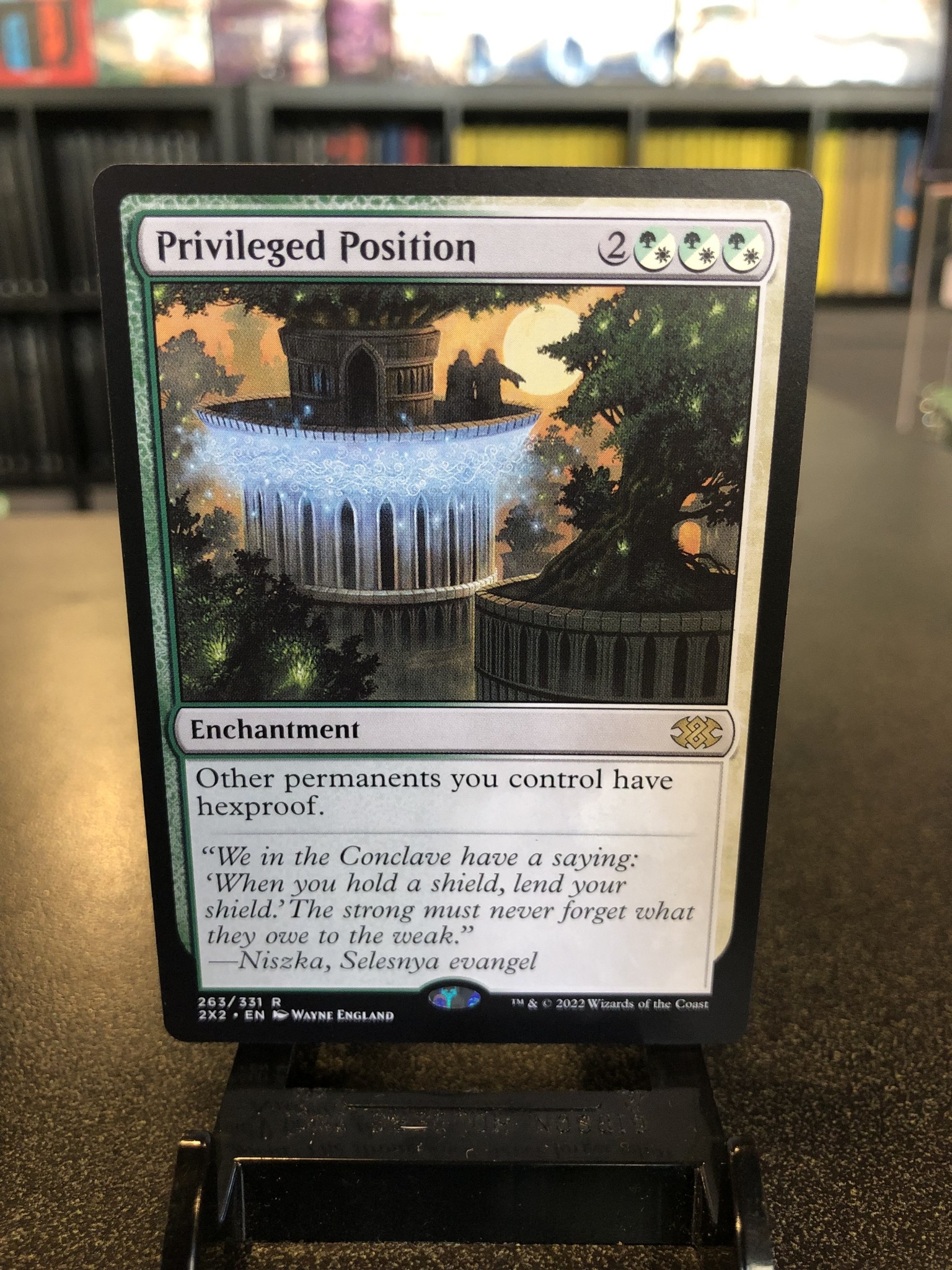Magic Privileged Position (2X2) - The Deck Box