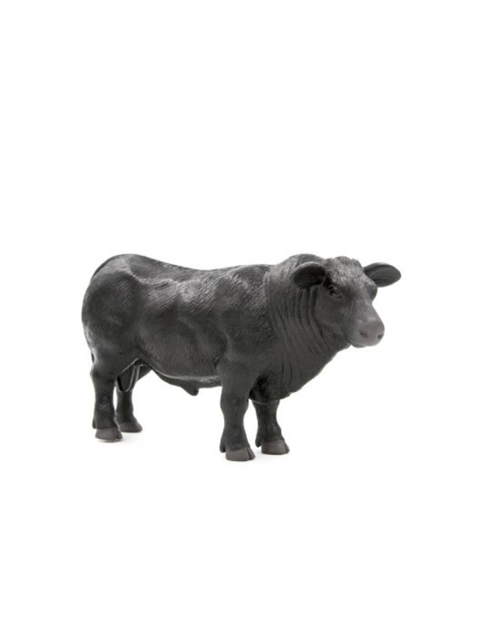 Little Buster Angus Bull - Blanton-Caldwell