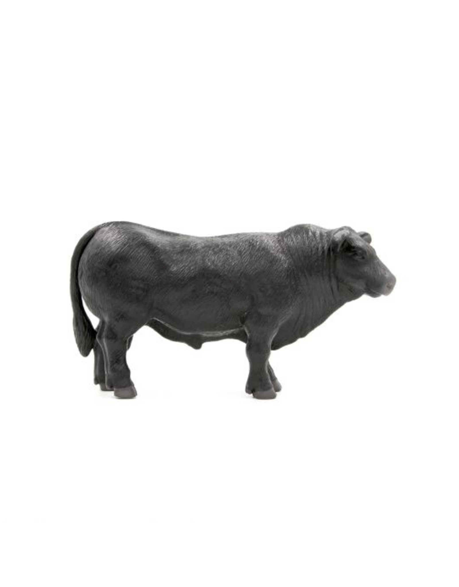 Little Buster Angus Bull - Blanton-Caldwell