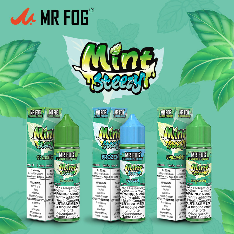 MR FOG MINT STEEZY E-LIQUID JUICE - Radical Vape Shop