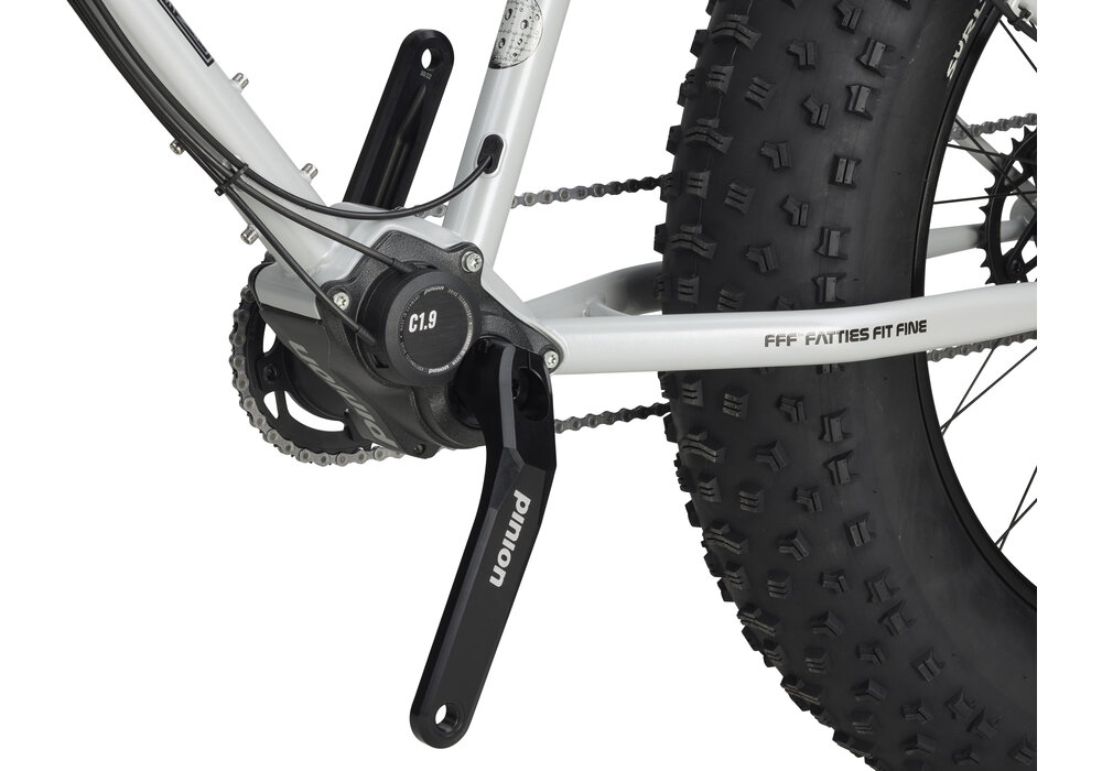 Surly Moonlander Pinion - Omafiets