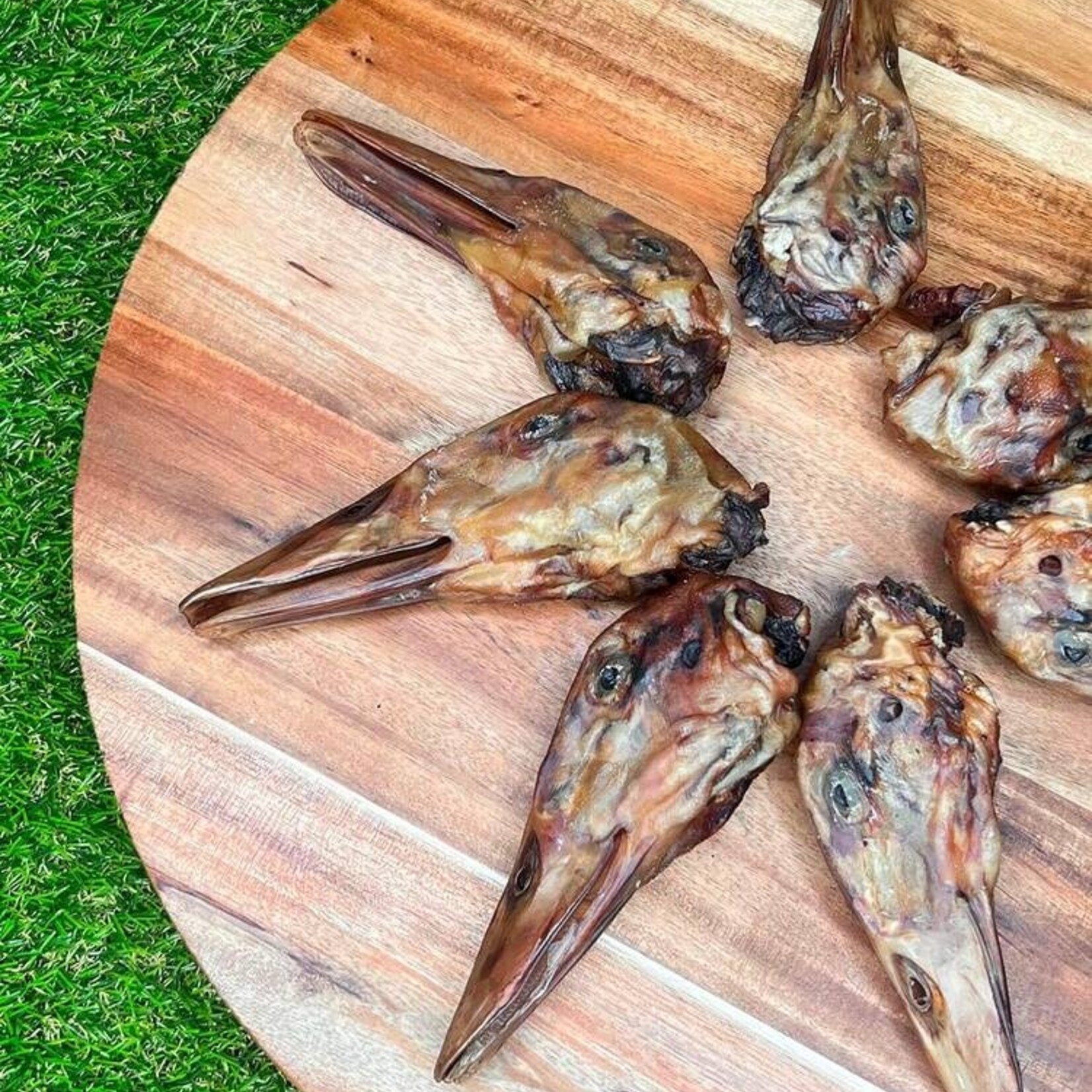 Furever Primal Duck Head - Leaps & Bones