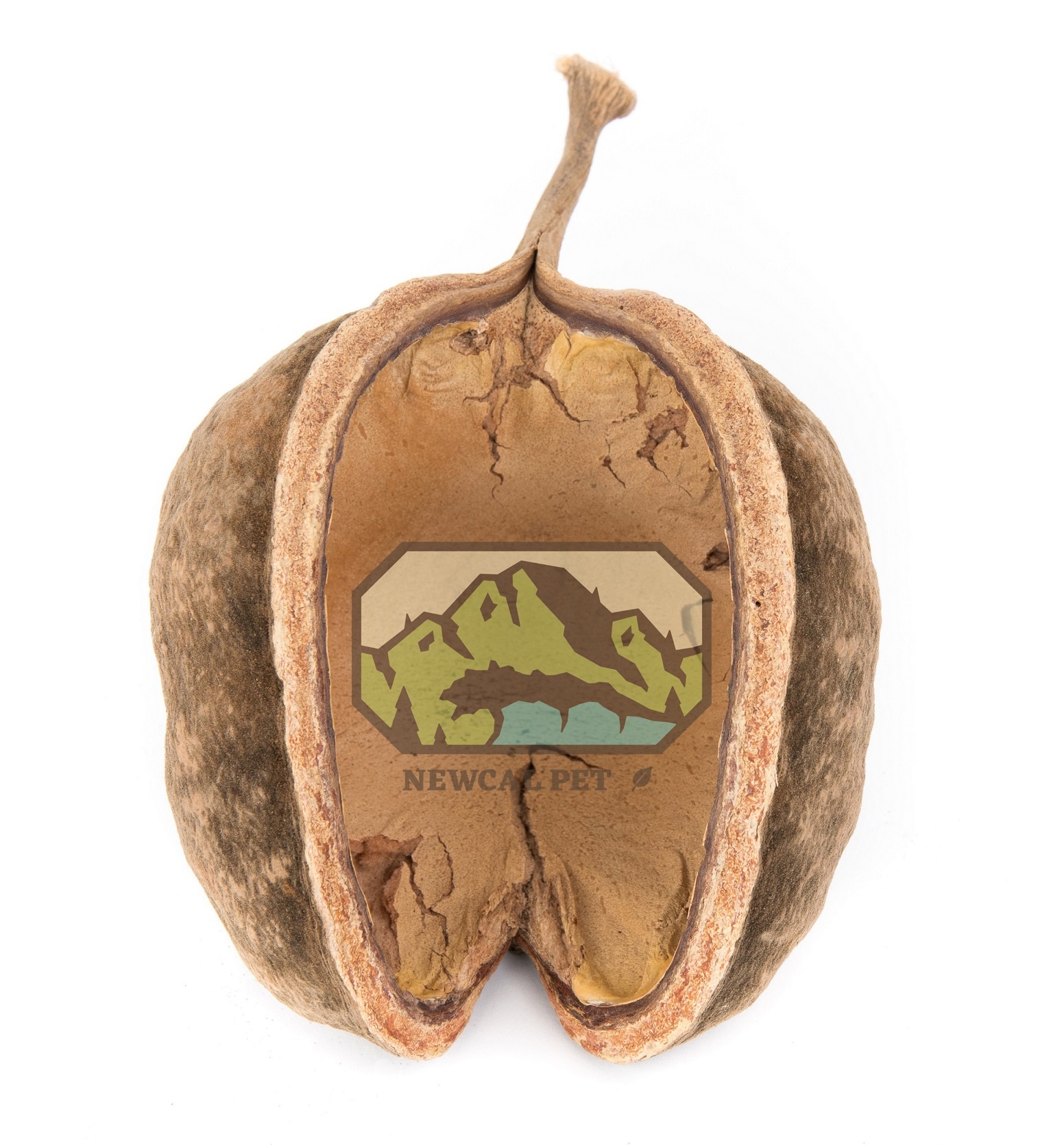 NEWCAL Buddha Nut Large - Roger's Aquatics & Pet Supplies