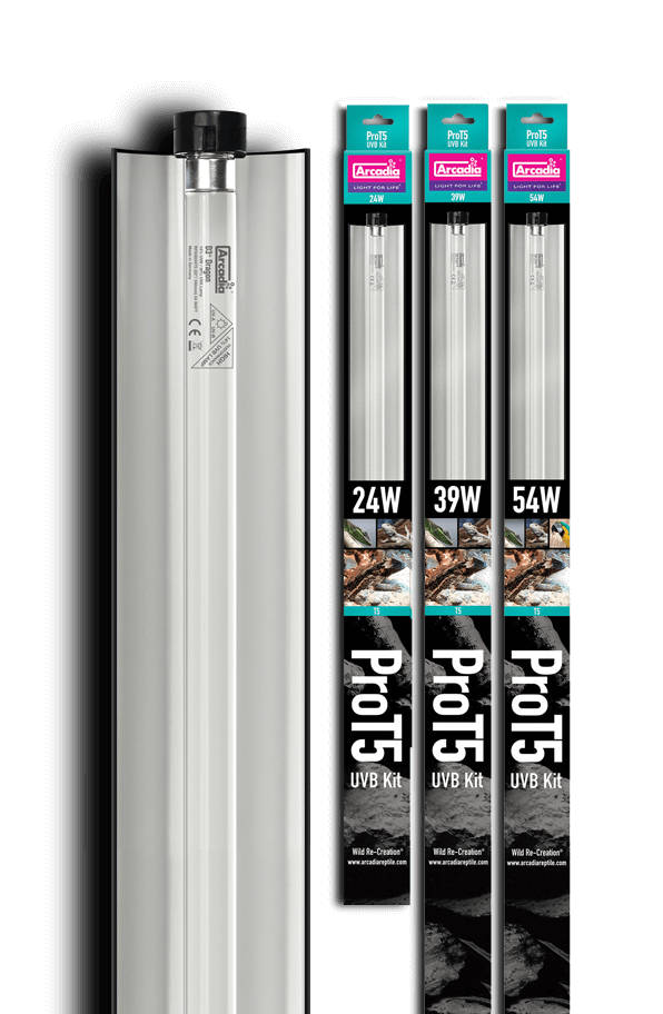 ARCADIA Pro T5 HO D3+ 12% UVB Desert Lamp Kit - Roger's Aquatics & Pet ...