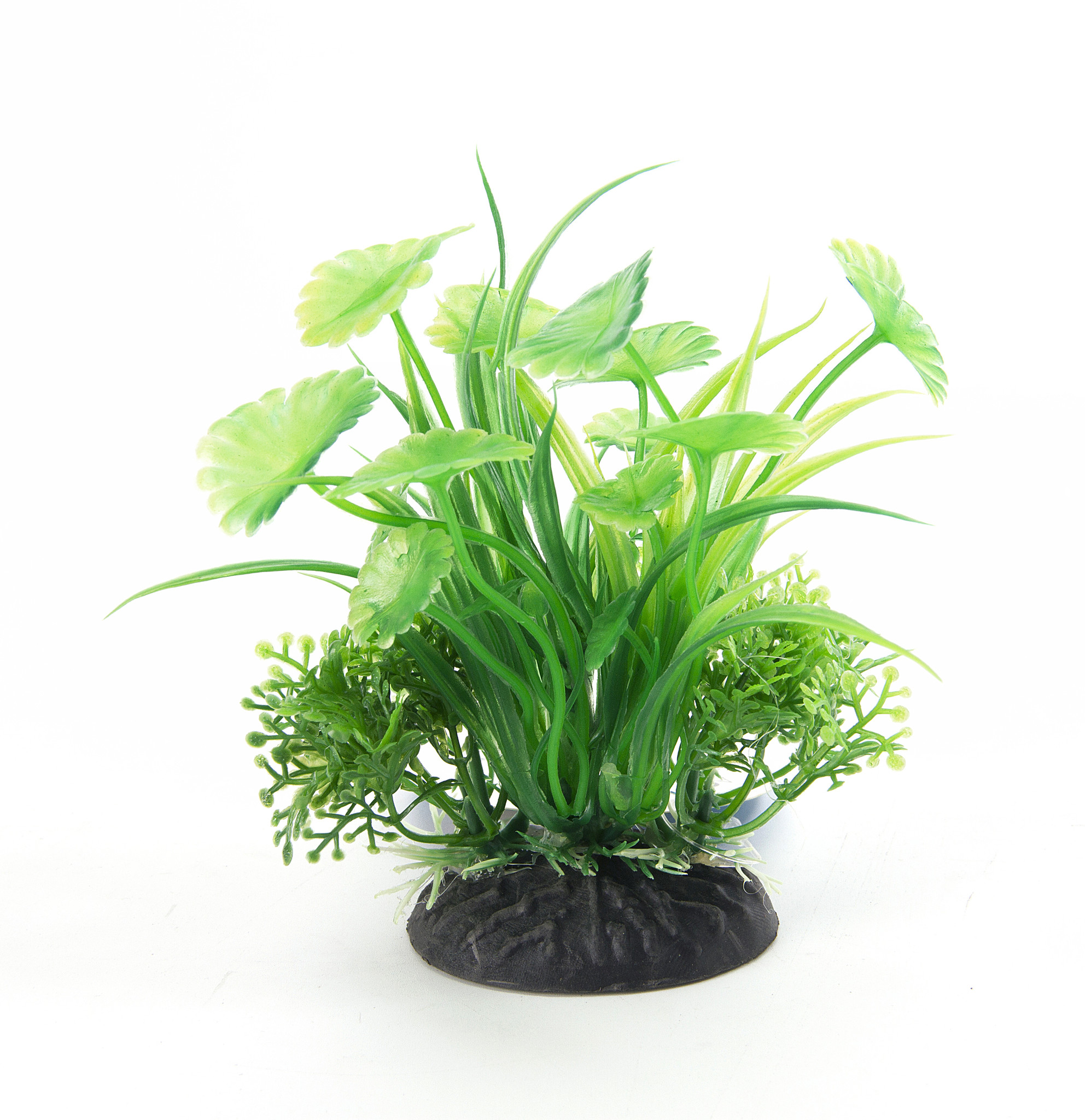 AQUA-FIT Green Fern Plant 4" - Roger's Aquatics & Pet Supplies