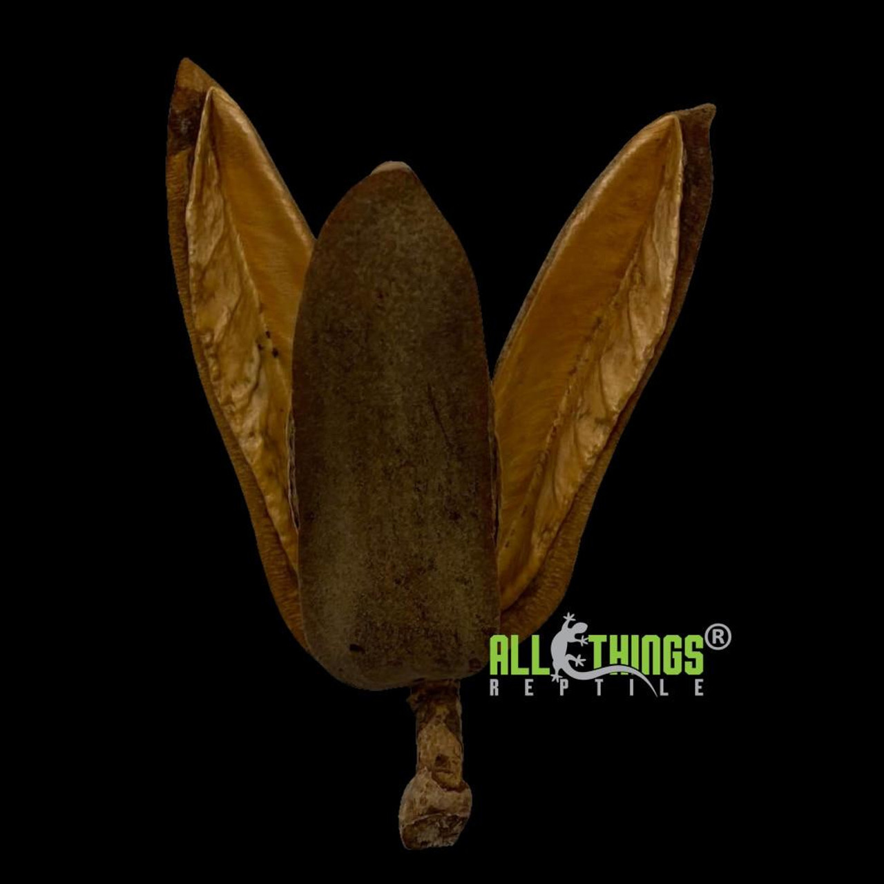 ALL THINGS REPTILE Trident Pod - Roger's Aquatics & Pet Supplies