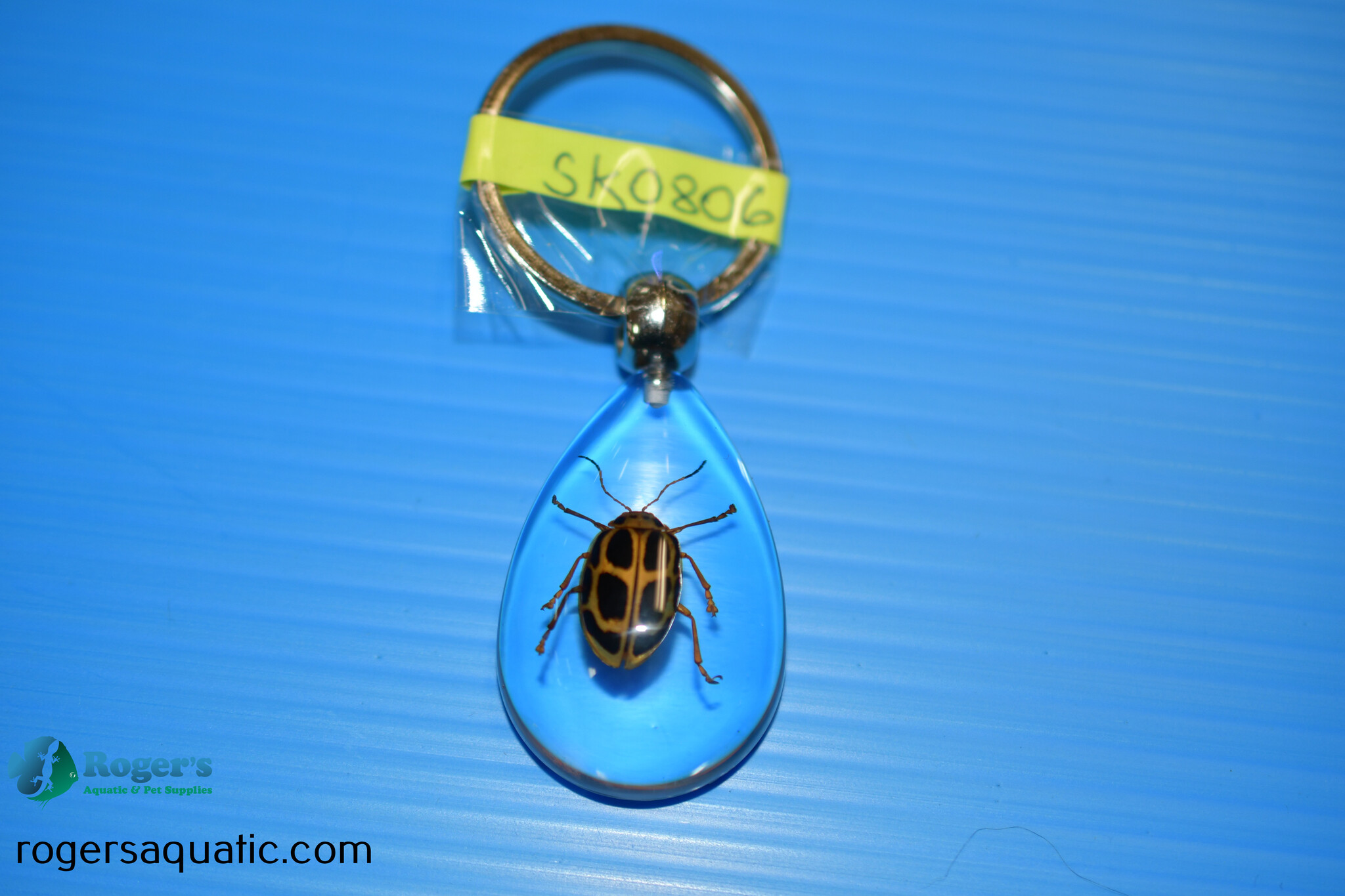 ROGER'S AQUATIC Keychain Transparent - Roger's Aquatics & Pet Supplies