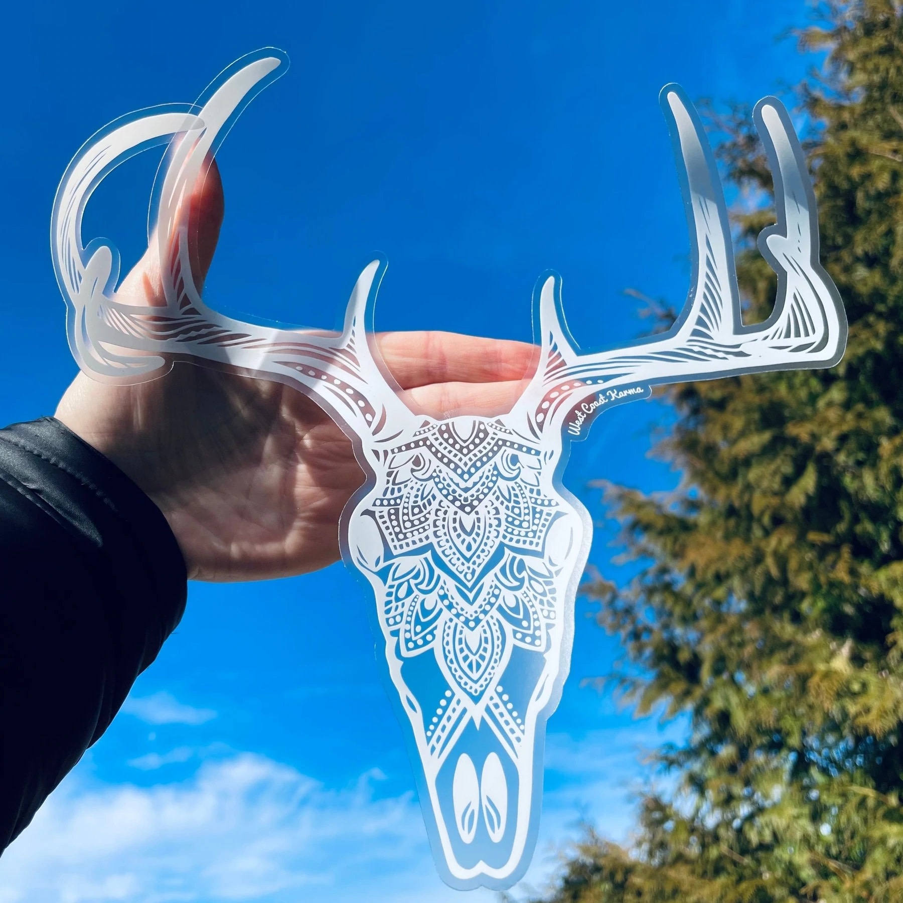 Deer Skull Decal Cultured Coast Deer Skull Decal Cultured Coast