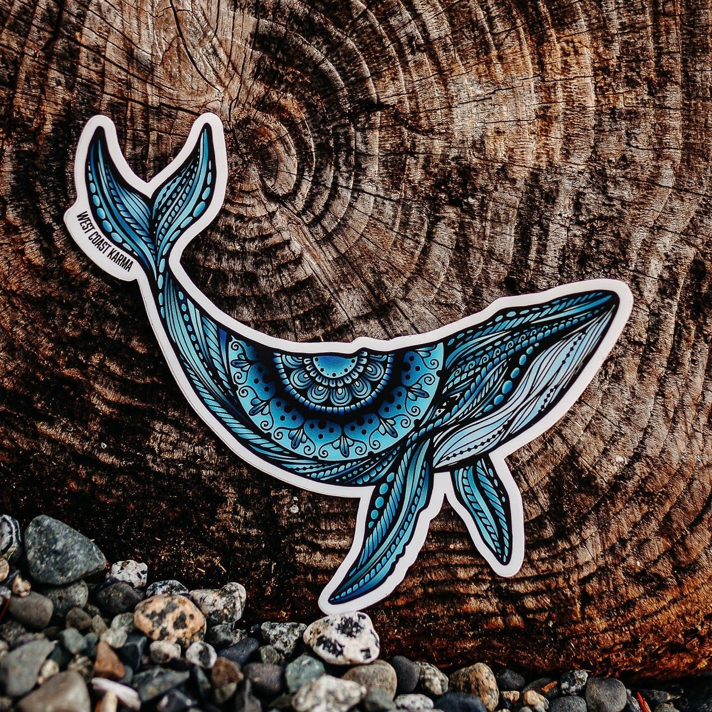 Colorful Humpback Whale Sticker - Cultured Coast