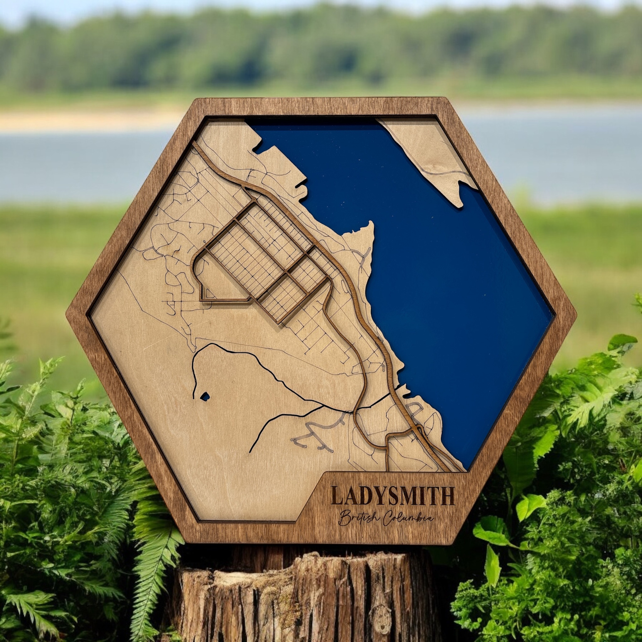 Ladysmith City Map - Cultured Coast