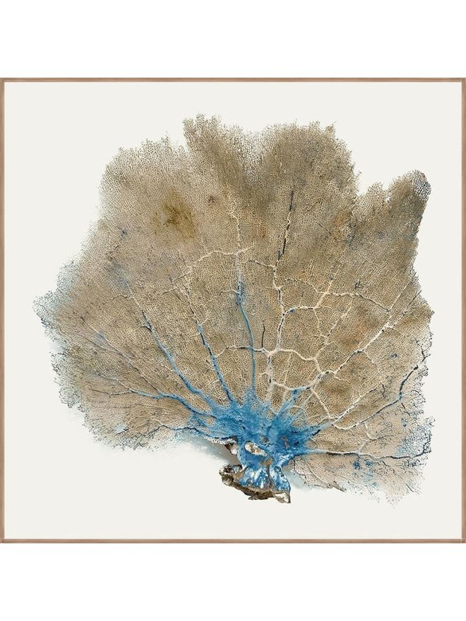 Wall Art - Tide & Table