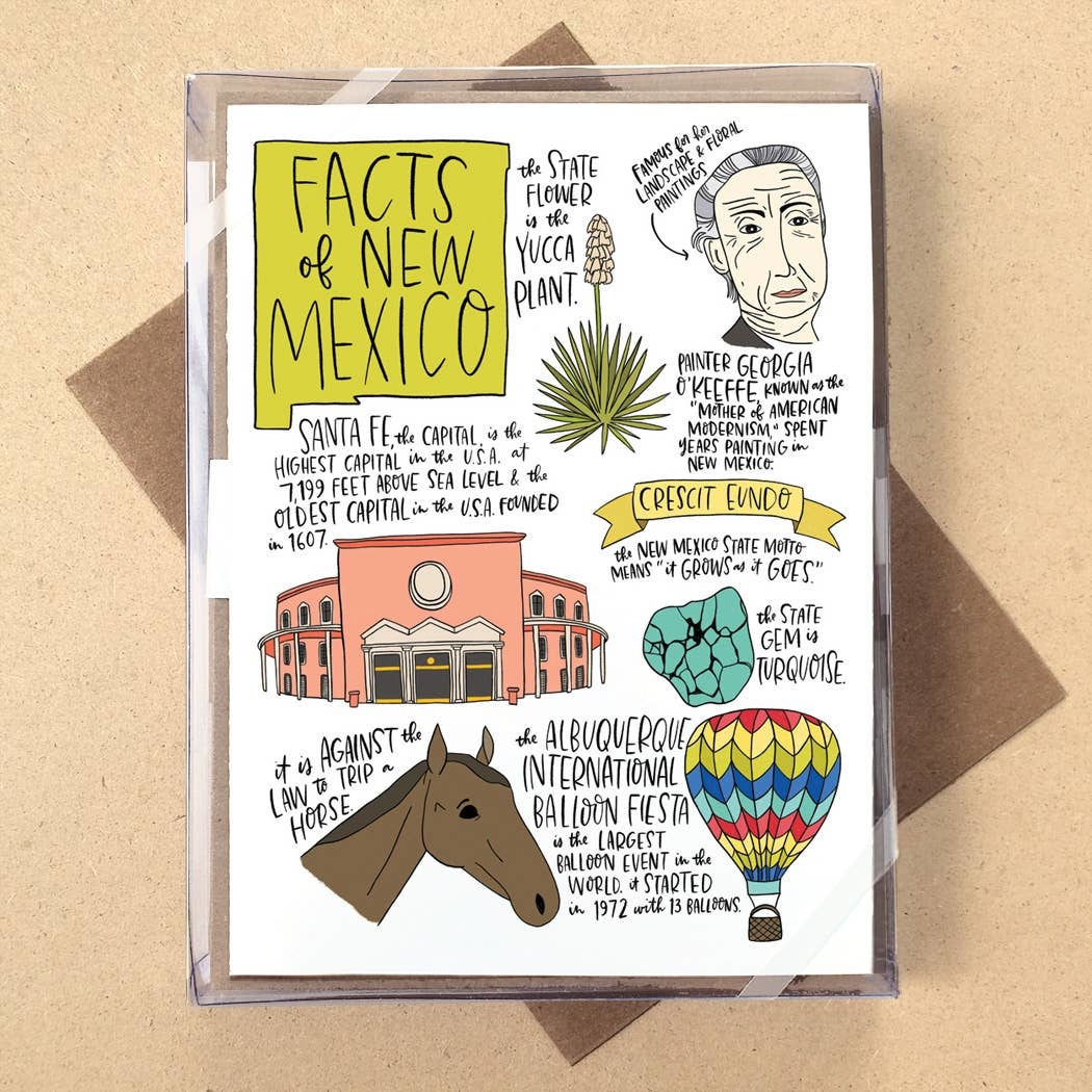 New Mexico State Facts Boxed Cards - Pennysmiths Paper