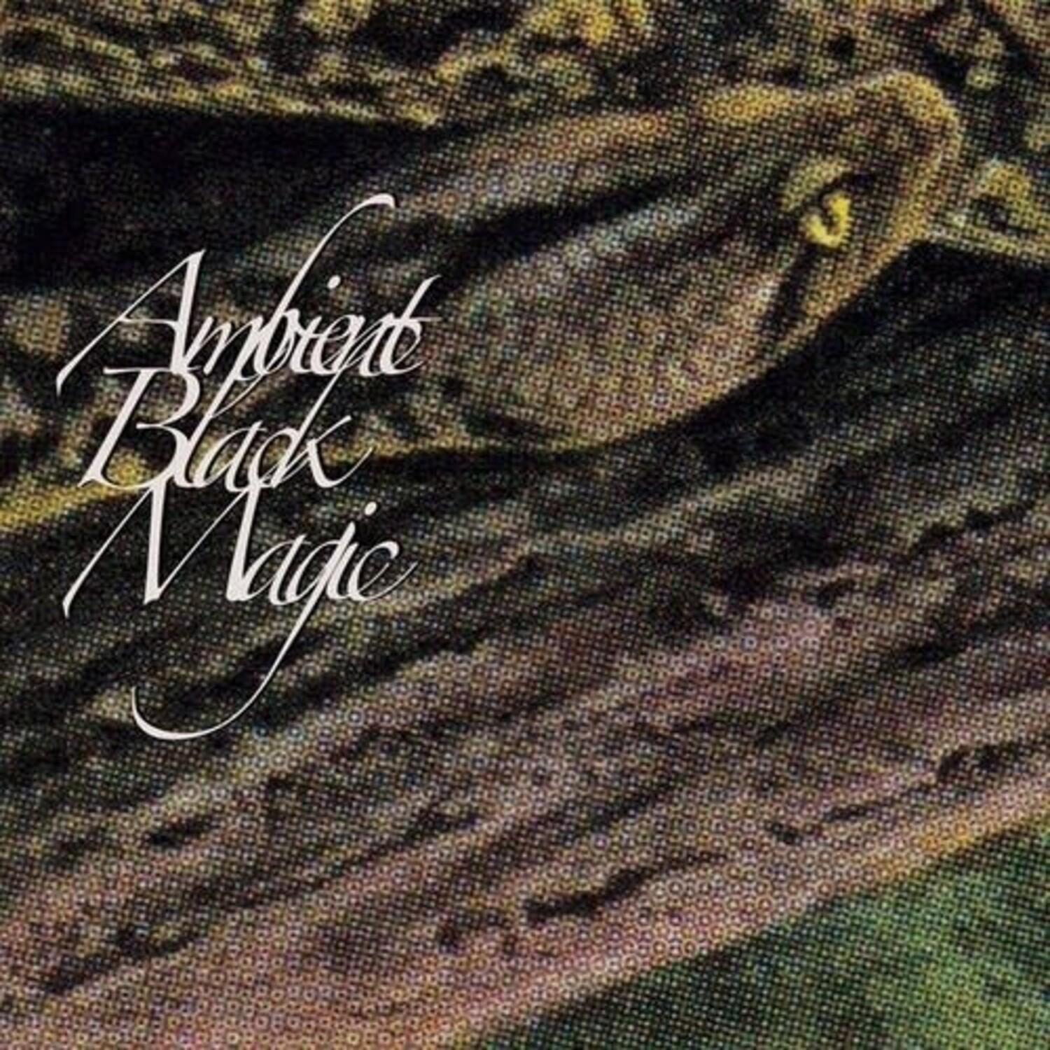 Rainforest Spiritual Enslavement - Ambient Black Magic 3LP - Wax Trax ...