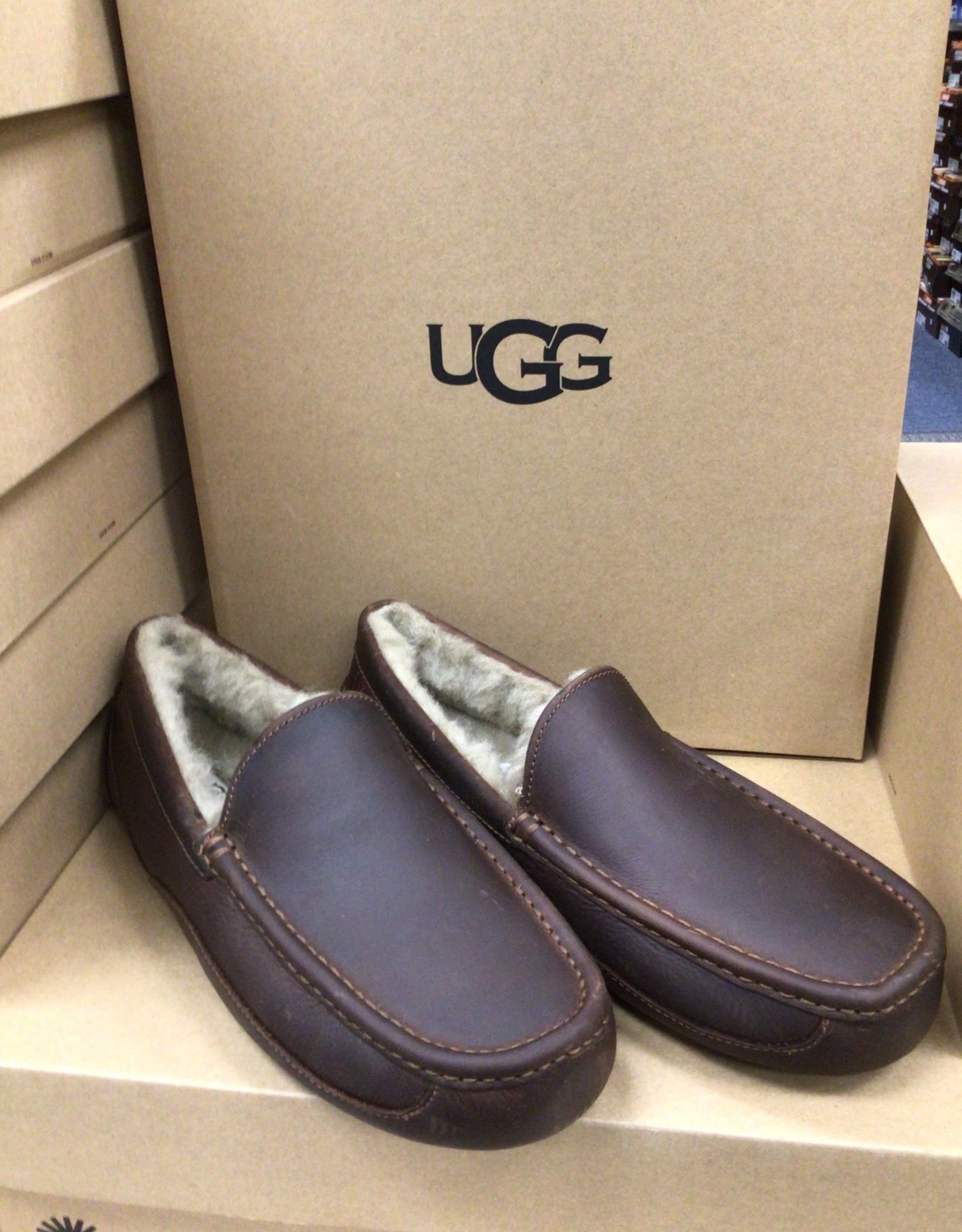 Ugg M Ascot Mens - Shoes & M'Orr