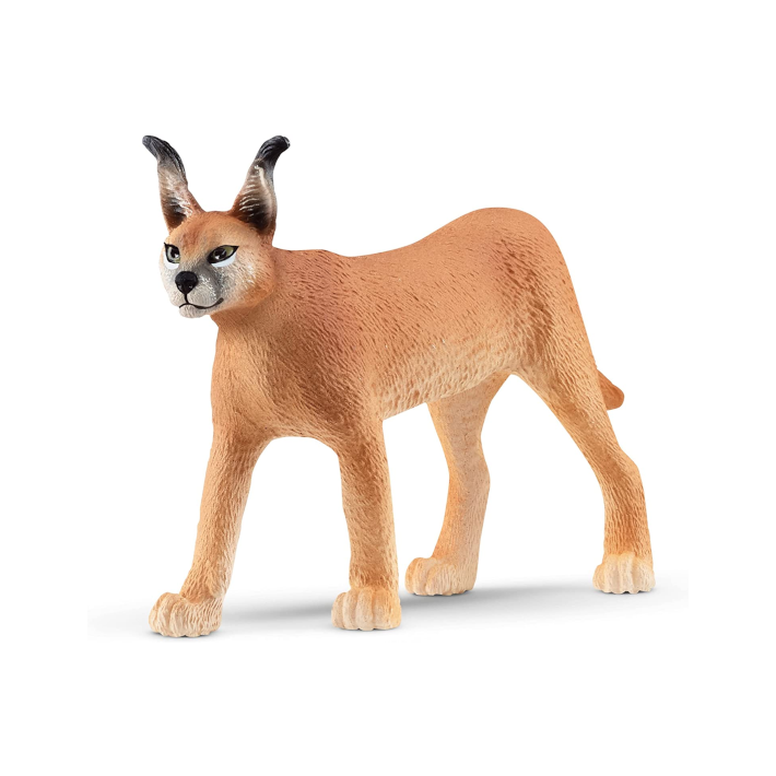 Schleich - Wild Life - 14867 - Caracal Female - ToymastersMB.ca - Westmans Local Toy Store