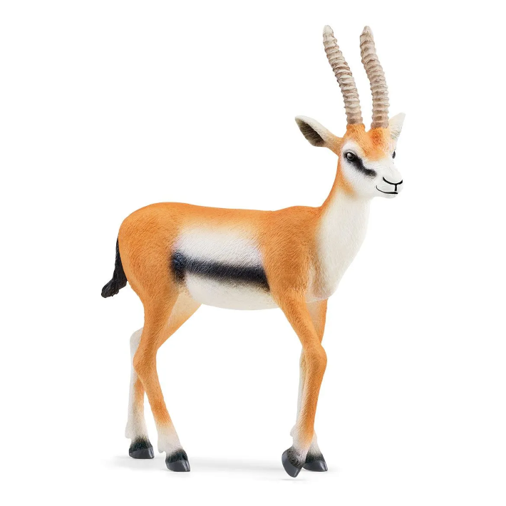 Schleich - Wild Life - 14861 - Thomson Gazelle - ToymastersMB.ca ...