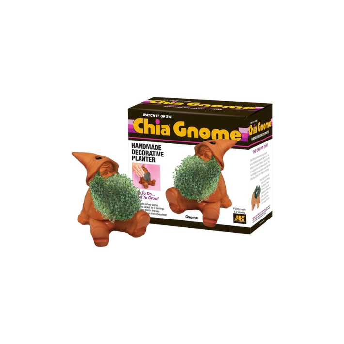 Chia Pet - Gnome - ToymastersMB.ca - Westmans Local Toy Store