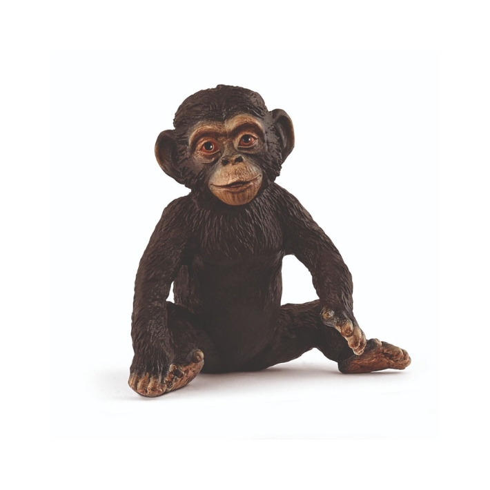 Schleich - Wild Life - 14884 - Chimpanzee Cub - ToymastersMB.ca ...