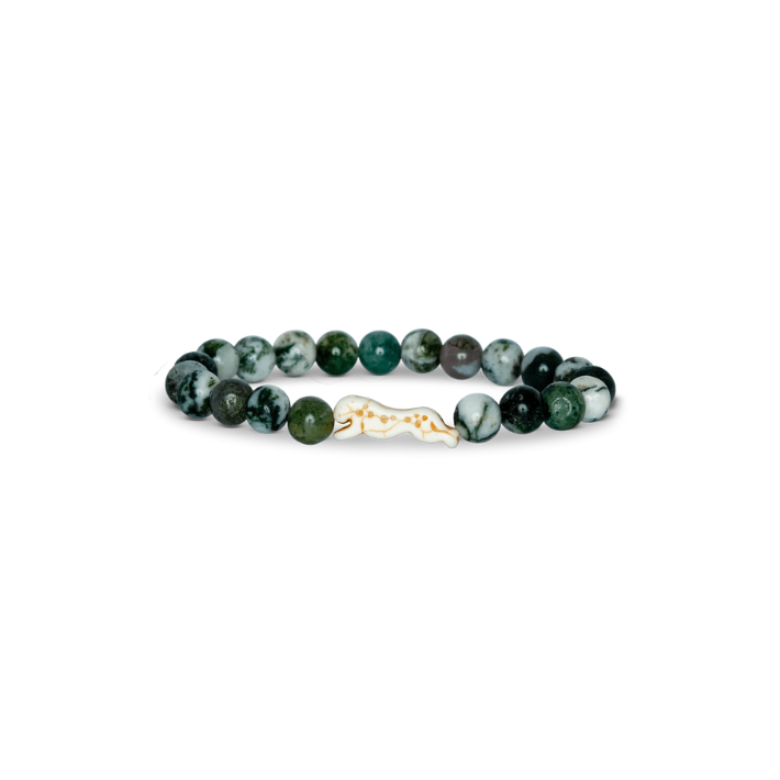 Fahlo - The Sprint Bracelet Cheetah (Acacia) - ToymastersMB.ca ...