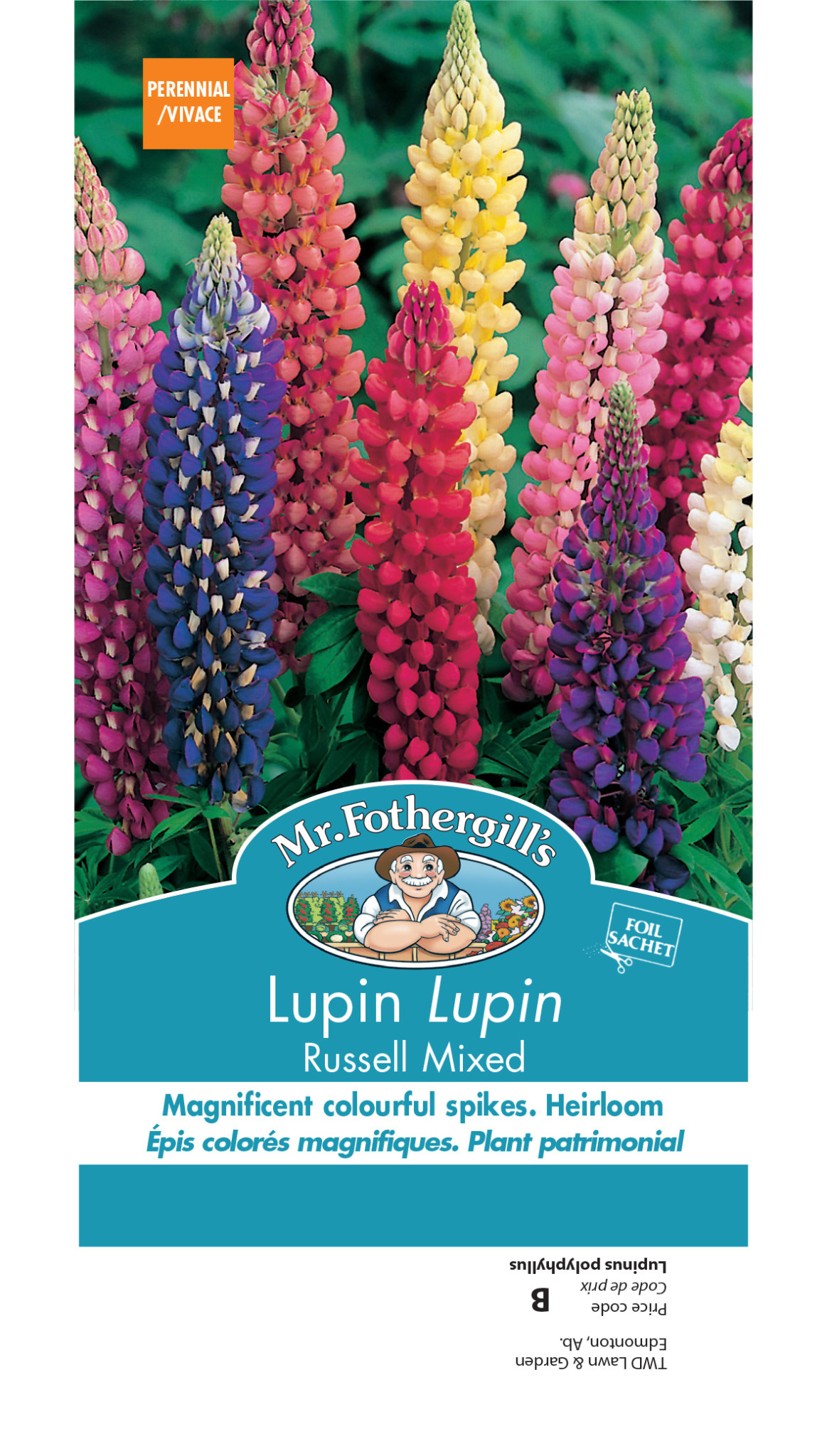Mr. Fothergill's LUPIN Russell Mixed - Klomps Home and Garden