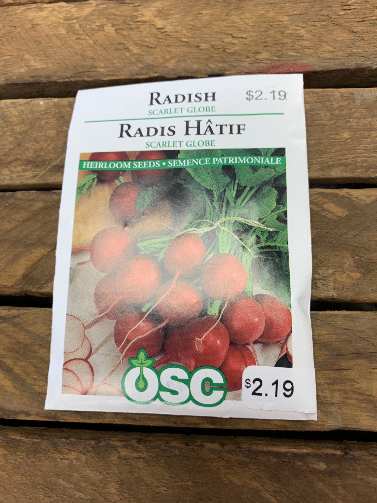 OSC Seeds Radish 'Scalet Globe' Seeds - Klomps Home and Garden