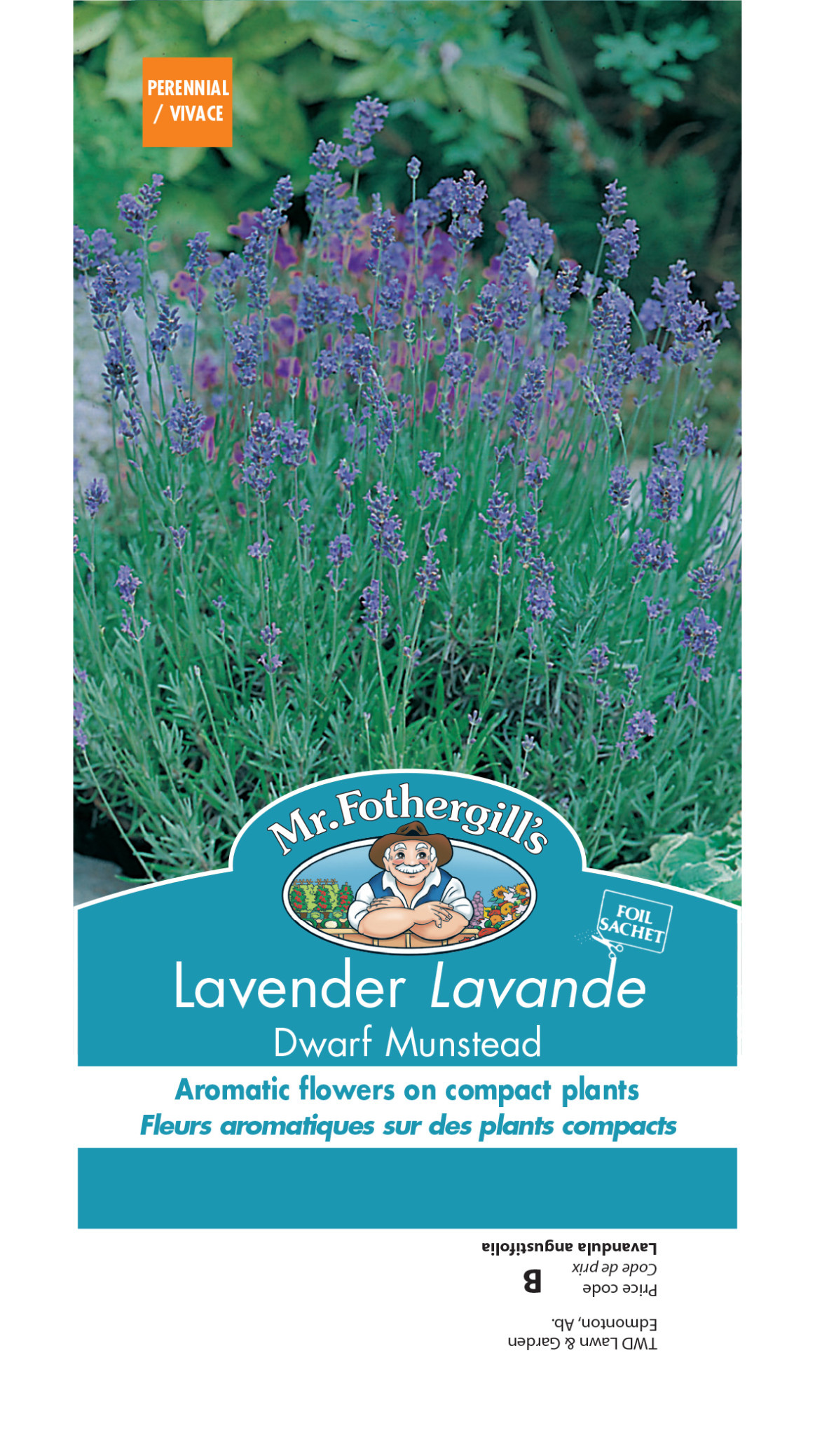 Mr. Fothergill's LAVENDER Dwarf Munstead - Klomps Home and Garden