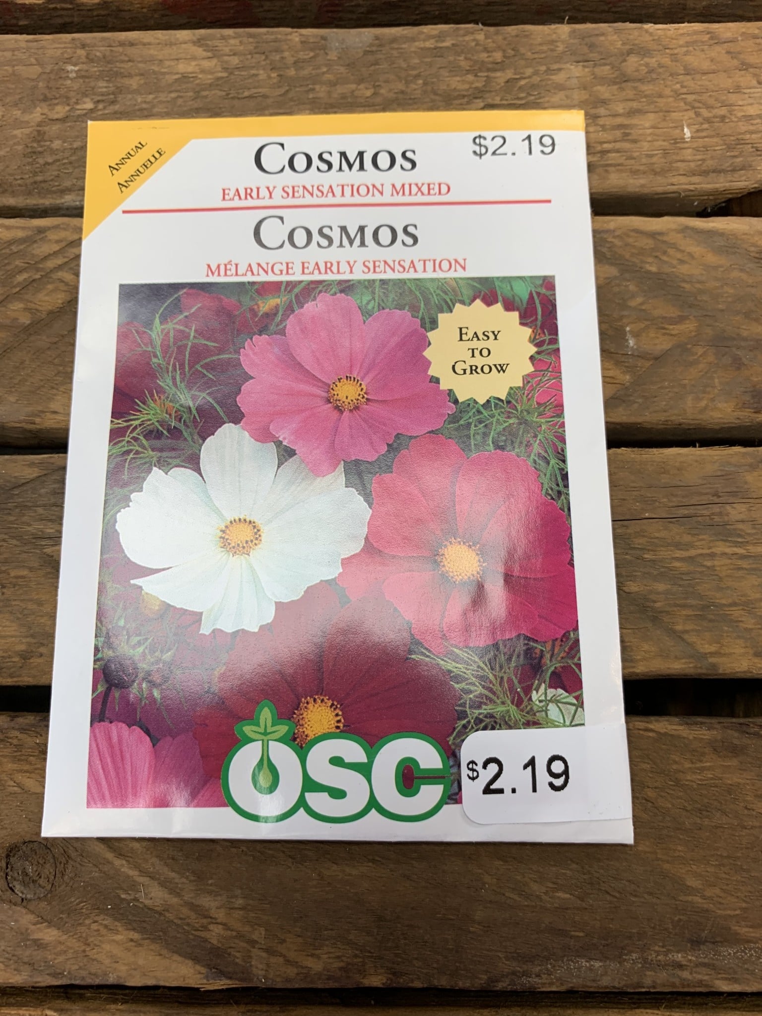 OSC Seeds Cosmos 'Early Sensation Mixed' Seeds - Klomps Home and Garden