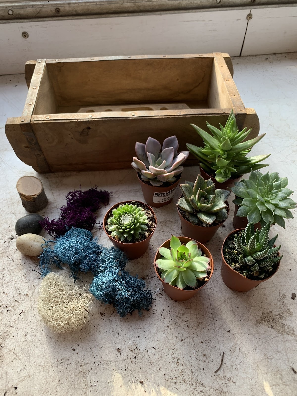 Participate in Fun 7 Creative Events for All Ages | Events - Klomps ...